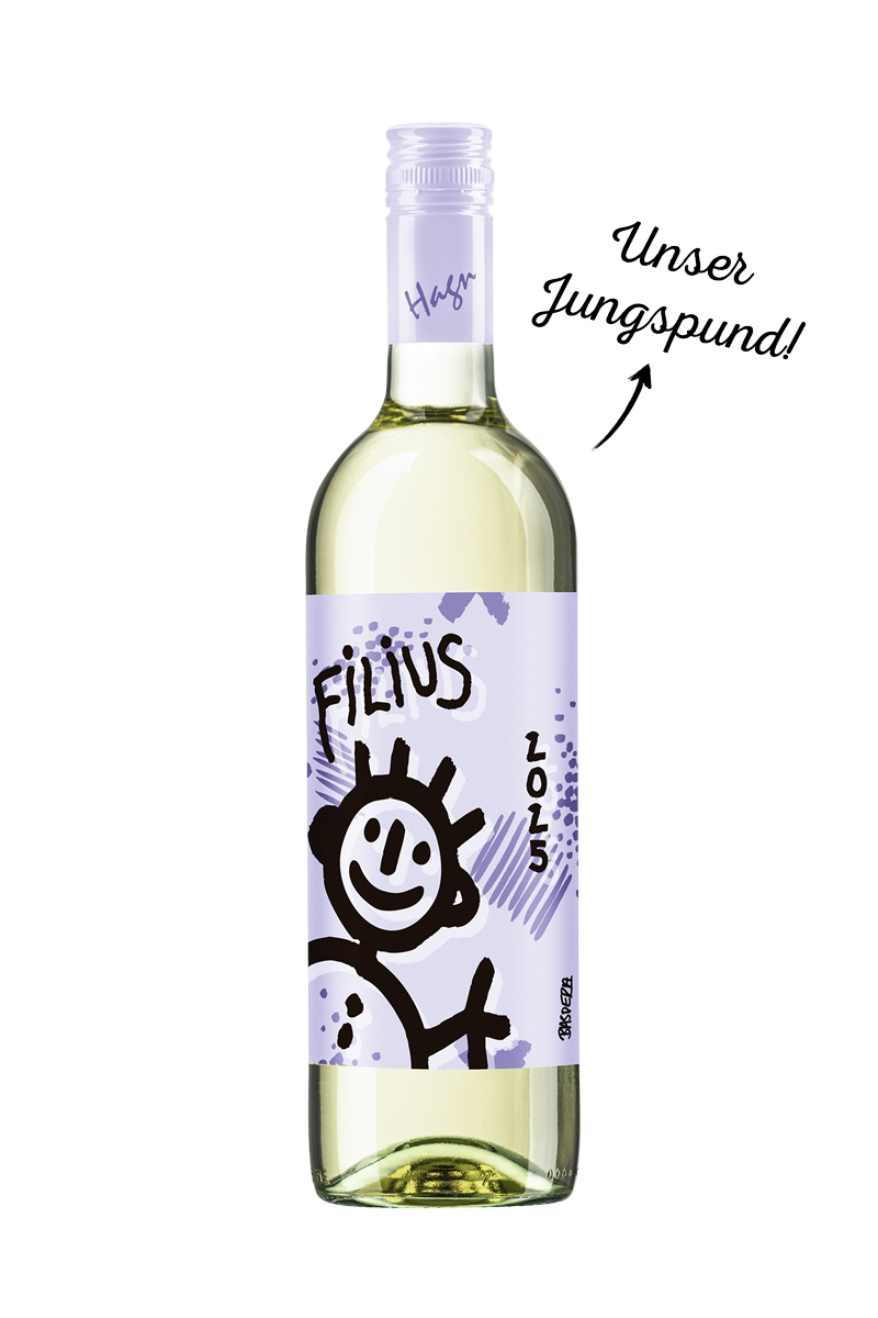 Grüner VeltlinerFilius 2025 - Weingut Hagn